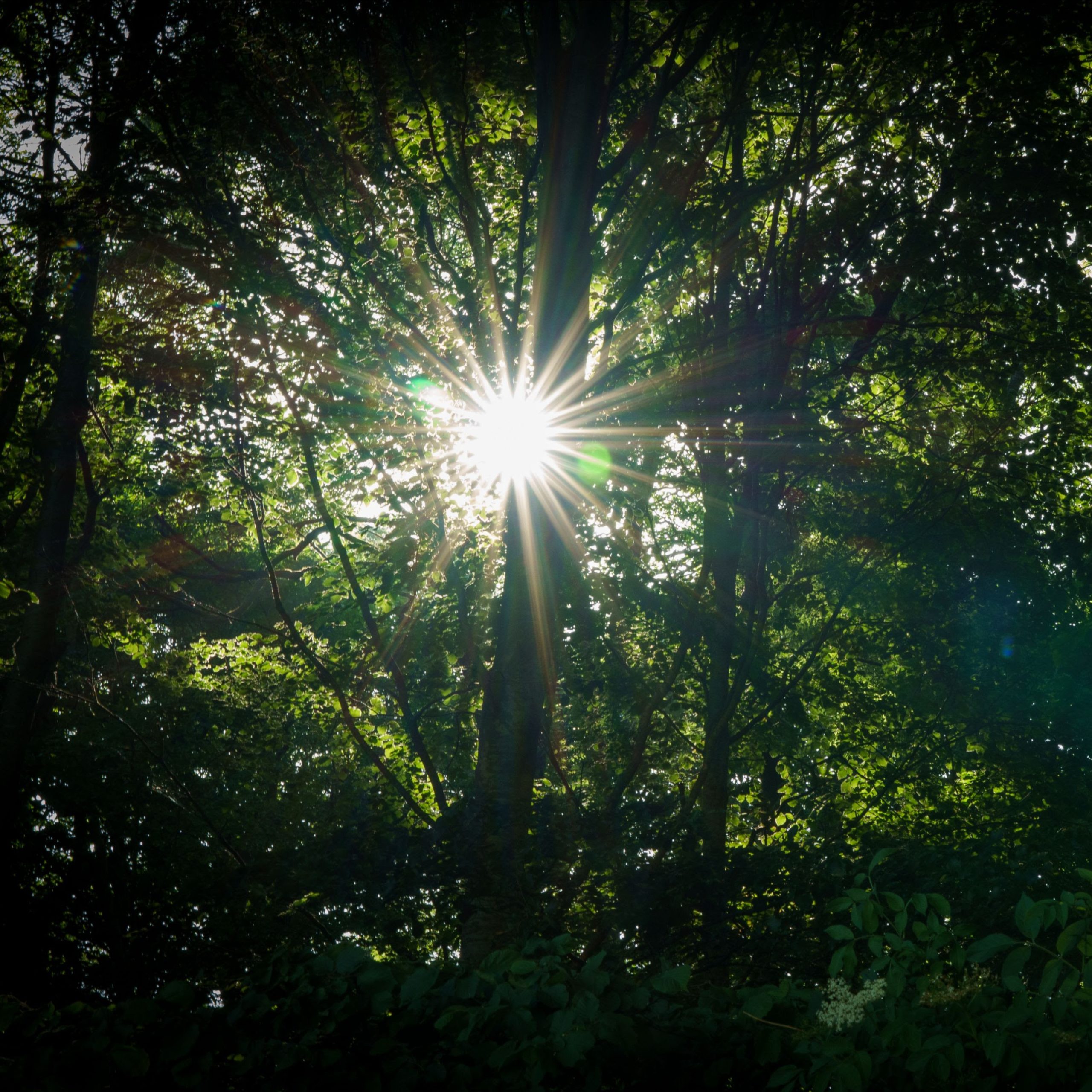 Beaming Light - Faculty Commons